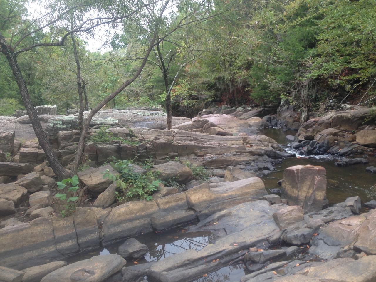 Brain disorders & other General topics of the day